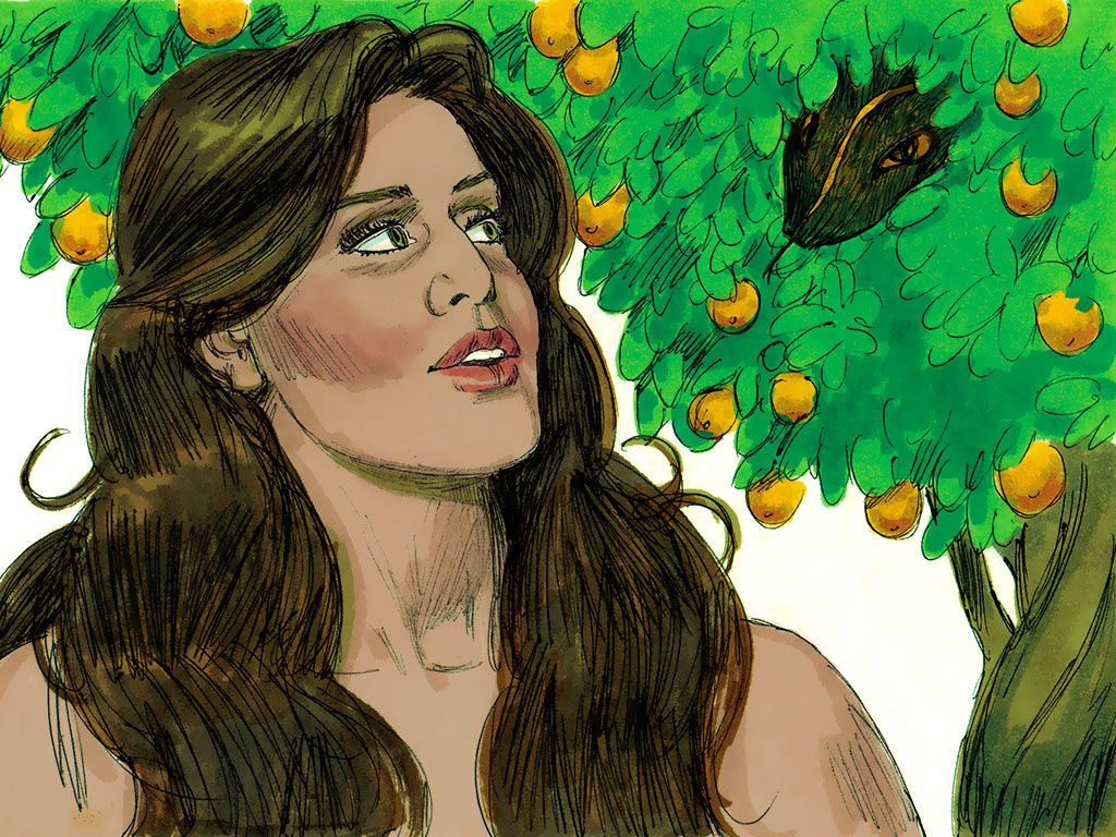 “Adam was formed first, then Eve”: the gender creation order and women ...